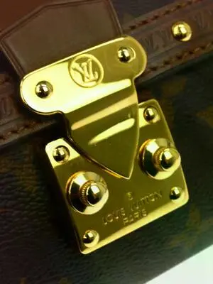 LOUIS VUITTON 2010-2020s Papillon Trunk Shoulder Bag