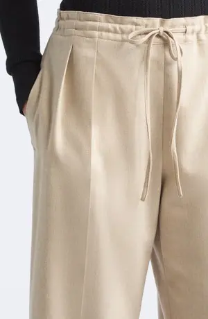 Maria Mcmanus Pleated Stretch Wool & Cashmere Drawstring Trousers