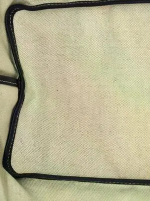 Goyard Saint Louis Printed Coated Canvas Pm Tote Bag