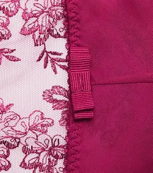 Simone Perele Lace Passion Briefs