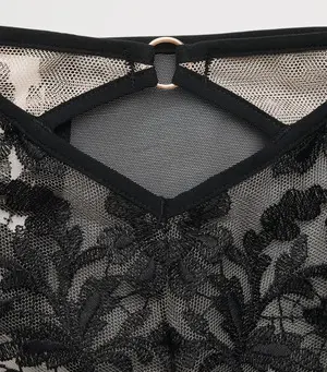 Simone Perele Lace Fantasime Briefs