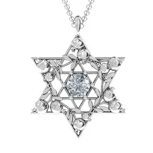Jewlr Pomegranate Branch Star Of David Pendant - Sterling Silver