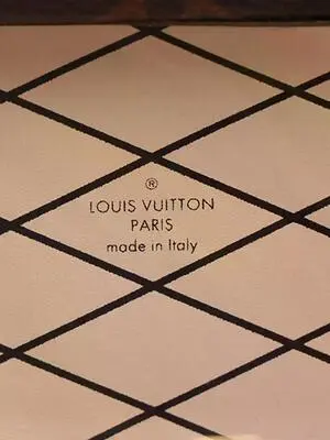 LOUIS VUITTON 2016-2026 Monogram Case Vanity Bag