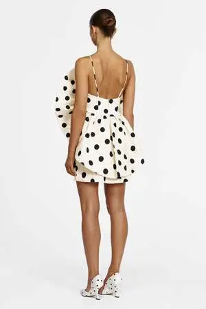Acler Ketch Mini Dress
