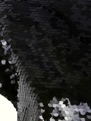 Alberta Ferretti Sequin-embellished Blouse
