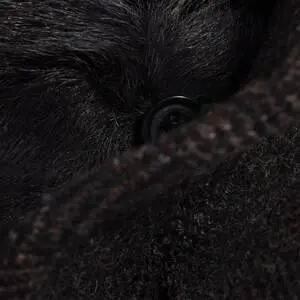 Miu Miu Wool And Chekiang Hat