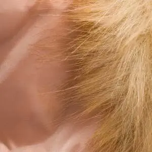 Miu Miu Technical Fabric And Faux Fur Trapper Hat
