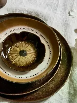 POMAX Cycle Glazed Stoneware Dinner Plates