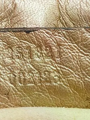 Gucci 1973 Mini Chain Crossbody Bag