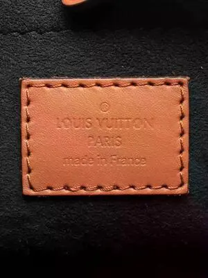 LOUIS VUITTON 2021-2026 Monogram Reverse Dauphine Pm Backpack