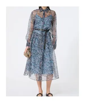 Max Mara Printed Silk Shirt Dress