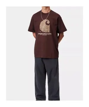 Carhartt Work In Progress Entrance Crewneck T-shirt