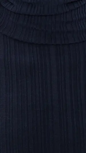 JAMIE HALLER The Variegated Rib Turtleneck Tee