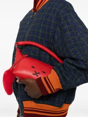 Loewe Cala Leather Mini Bag