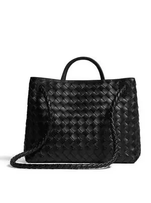 Bottega Veneta Medium Andiamo Bag