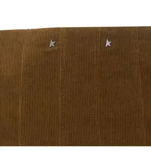 GOLDEN GOOSE Raelynn Corduroy Mini Skirt