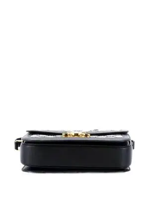 Celine Triomphe Triomphe Canvas Medium Shoulder Bag