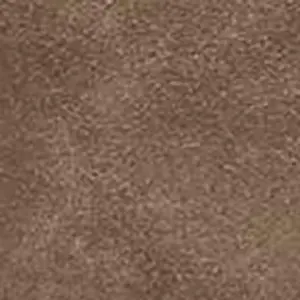 ALLSAINTS Suede Jura Ankle Boots
