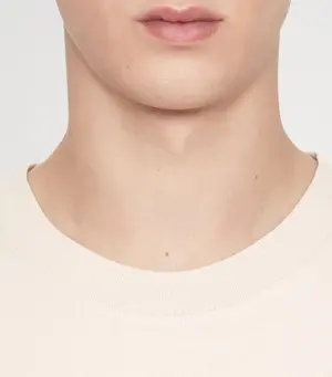 ALLSAINTS Organic Cotton Roller T-shirt