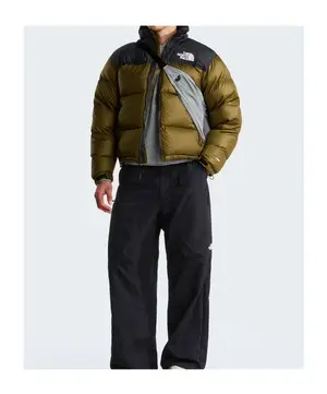 The North Face Hooded Puffer Jacket