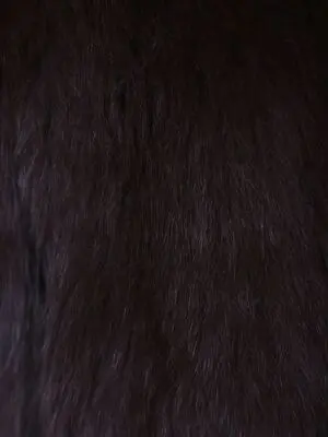 YVES SALOMON Long-sleeved Fur