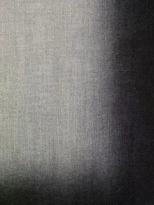 Faliero Sarti Fringed Gradient-effect Scarf