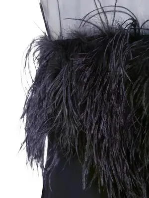 Alberta Ferretti Enver Feather-trim Sheer-panel Top