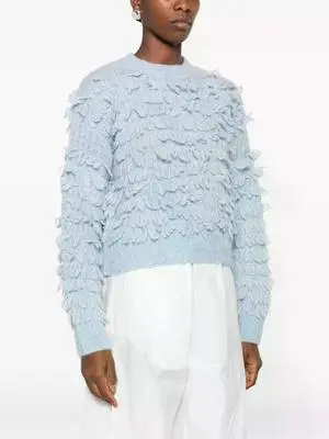 ABSOLUT CASHMERE Yara Fringe-detail Crew-neck Sweater