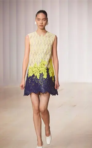 Simkhai Almondine Mini Dress