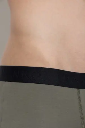 Hanro Cotton Essentials Boxer Briefs Two-pack By