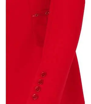 Elisabetta Franchi Single Breasted Blazer