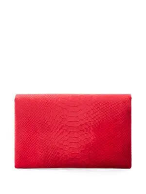 Elisabetta Franchi Flap Clutch
