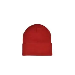 Carhartt Work In Progress Hats