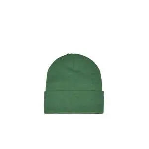 Carhartt Work In Progress Hats