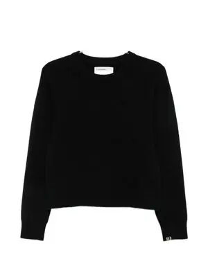 Extreme Cashmere Cashmere Crewneck Sweater