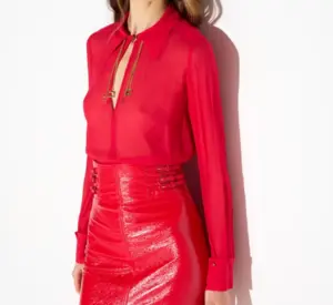 Elisabetta Franchi Georgette Shirt
