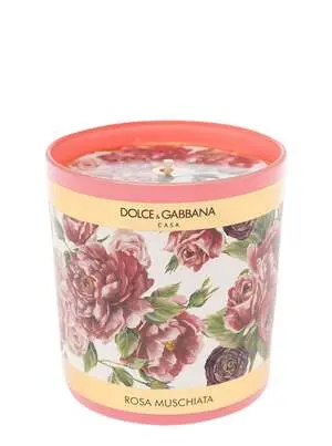 DOLCE & GABBANA CASA Musk Rose Scented Candle With Exclusive Packaging And Cotton Wick - Pink