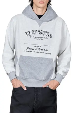 PLEASURES Degree Graphic Hoodie - Ash Grey