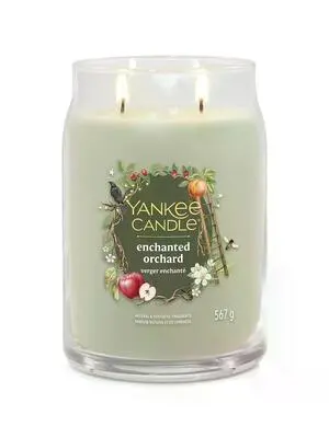 YANKEE CANDLE Large Enchanted Orchard Candle