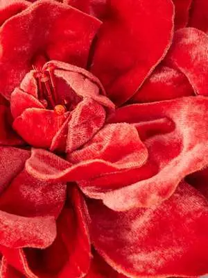 Bernadette Velvet Rose Embellished Brooch