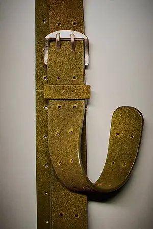 Free People We The Free Lucky Penny Belt