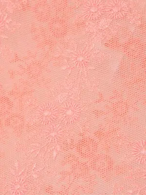 ERES Lace Floral Low-rise Underwear