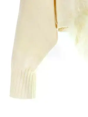 Alberta Ferretti Feather-embellished Cropped Sweater