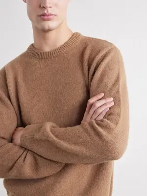 TOTEME Camel Hair Sweater
