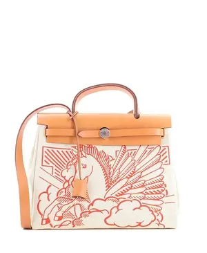 Hermès 31 Herbag Zip Pegase Pop Toile And Leather - Brown