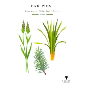 BAOBAB COLLECTION Far West Reed Diffuser, 500ml - Multi