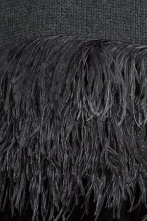 Fabiana Filippi Wool Turtleneck With Ostrich Feathers