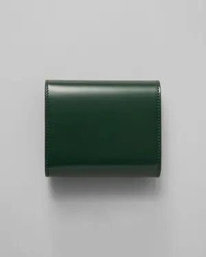 Celine Small Triomphe Flap Wallet