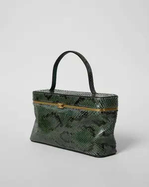 Celine Vanity Frame In Python