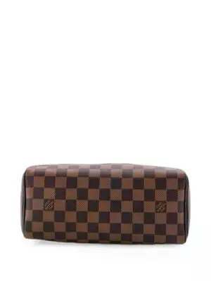 LOUIS VUITTON Brera Handbag Damier Satchel